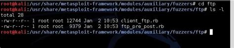 Hack Like A Pro Exploring Metasploit Auxiliary Modules Ftp Fuzzing