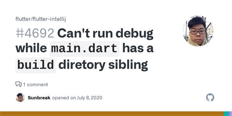 Cant Run Debug While `maindart` Has A `build` Diretory Sibling · Issue 4692 · Flutterflutter