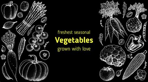 야채 손으로 그린 그림 위쪽 보기 프레임입니다 빈티지 손으로 그린 스케치 유기농 식품 포스터 좋은 영양 건강한 음식 벡터 일러스트레이션 당근 호박 아스파라거스 오크라 셀러리