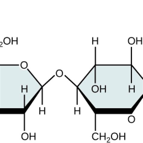 Carbohydrates Diagram Carbohydrates Classification Structure And