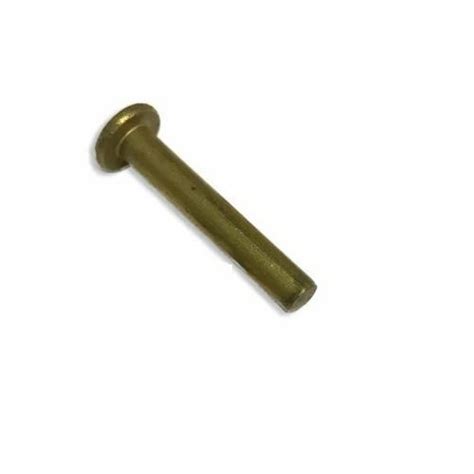Brass Solid Rivets At ₹ 85kilogram पीतल का रिवेट In Pune Id 17981833873