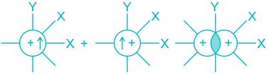 Atomic Orbital Overlap Types Of Overlap In Covalent Bonding