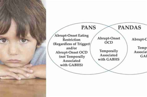 Autoimmunity Inflammation Basal Ganglia In Pans And Pandas Autoimmunity Inflammation Basal Ganglia In Pans And Pandas