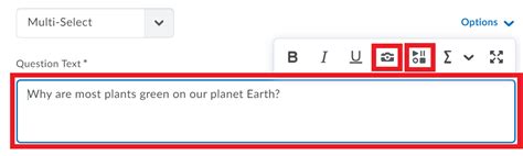 Questions Creating Multi Select Questions