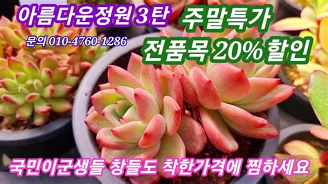아름다운정원 몽땅 20할인 국민이군생들창들도 착한가격에 찜하세요 5만원이상 무료배송 3만원부터 택배가능 이쁜아이들