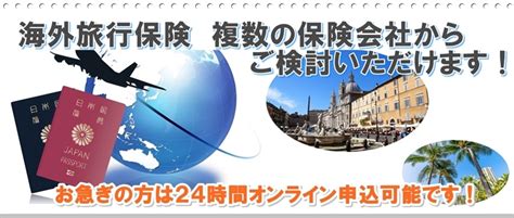 海外旅行保険AIG損保あいおいニッセイ同和損保のご案内 ネットで入る保険