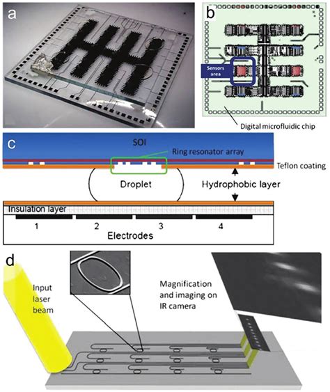 A Picture Of A Digital Microfluidic Chip Covered With A Standard Ito Download Scientific