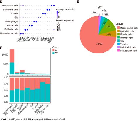 Single Cell Rna Sequencing Analysis Of Maxillary Processes From Download Scientific Diagram