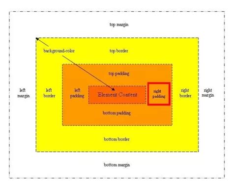How To Use Padding Property In Css Scmgalaxy