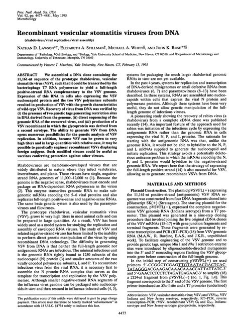 Recombinant Vesicular Stomatitis Viruses From Dna Pmc