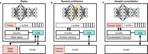 Design Principles For Lifelong Learning Ai Accelerators Paper And Code