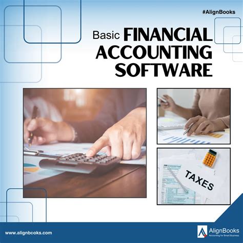 Basic Financial Accounting Software At Best Price In Noida