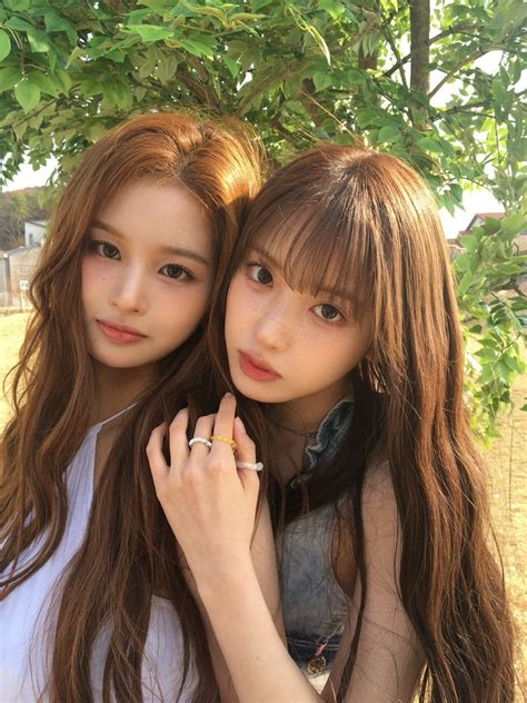 지우시 연예인잡담 에펨코리아