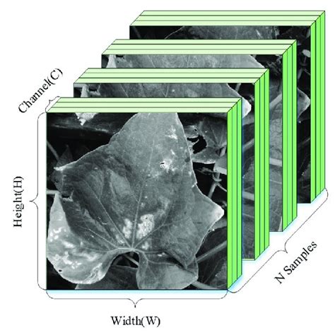Pdf Review On Convolutional Neural Network Cnn Applied To Plant Leaf Disease Classification