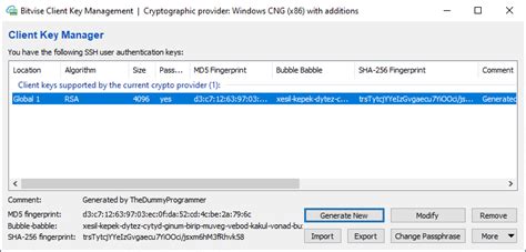 Public Key Authentication In A Windows SFTP Server The Dummy Programmer
