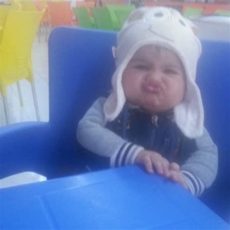 انيس اليسير