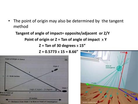 Blood Stain Pattern Analysis PPT