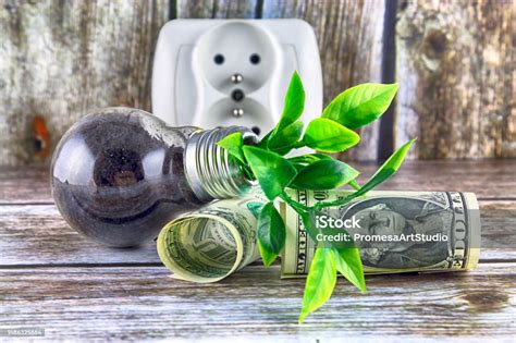 1달러 지폐와 전구 안에서 자라는 식물 녹색 에코 에너지 개념입니다 전기 가격 에너지 절약 0명에 대한 스톡 사진 및 기타 이미지 Istock