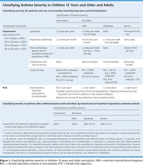 Asthma Classification Pdf