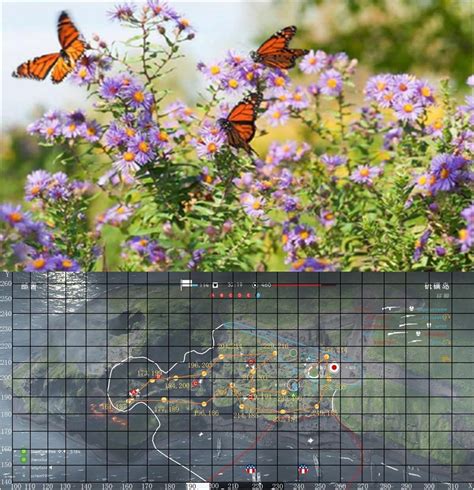【智能优化算法】蝴蝶优化算法 boa butterfly optimization algorithm csdn博客