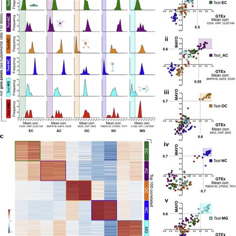 Ref Transcript Based Analysis Identifies Cell Type Enriched Genes From Download Scientific