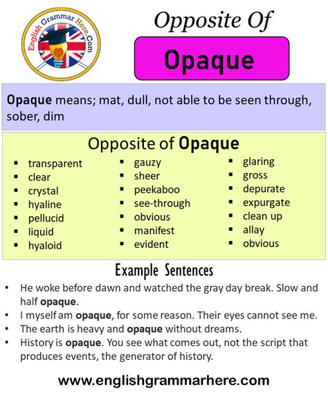 Opposite Of Opaque Antonyms Of Opaque Meaning And Example Sentences English Grammar Here