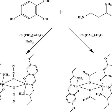 Bridged Dinuclear Copper Ii Sb Complex Using Template Method Download Scientific Diagram