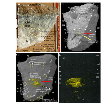 Photograph Of Sample Surface And Successive CT Images Of Surface Skin Download Scientific