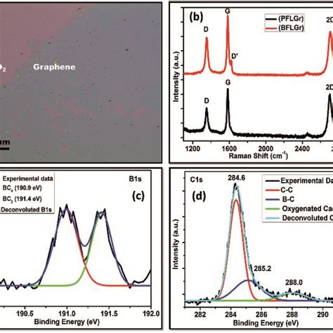 a optical microscope image of transferred bflgr sheet on si sio2