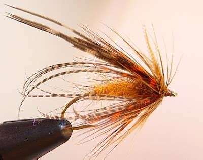 Swinging Flies For Trout With Steven Bird The Soft Hackle Journal