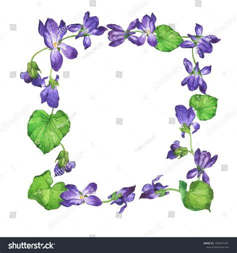 Violet Summer Flowers Border Isolated On Stock Illustration 1383491951