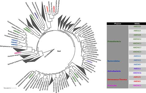 Taxonomic Assignment Of Mags By Their Incorporation Into “tree Of Life