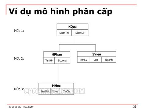Csdl Là Gì Các Mô Hình Cơ Sở Dữ Liệu Quan Trọng Bạn Nên Biết