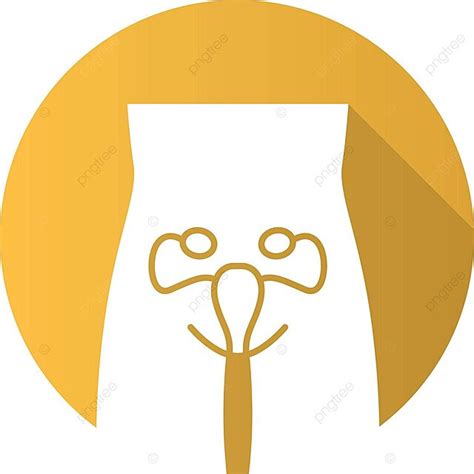 Healthy Female Reproductive System Icon Health Shape Anatomical Vector