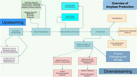 Alpha Amylase Production Process Pptx Chemistry Science