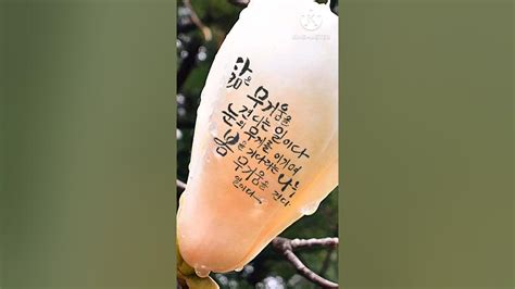 꽃은 자세히 보아야 예쁘다 사람은 오래 보아야 아름답다 세상에서 가장 아름다운 것은 성경 듣고 보고 깨닫고 행하여야 하나니 Youtube