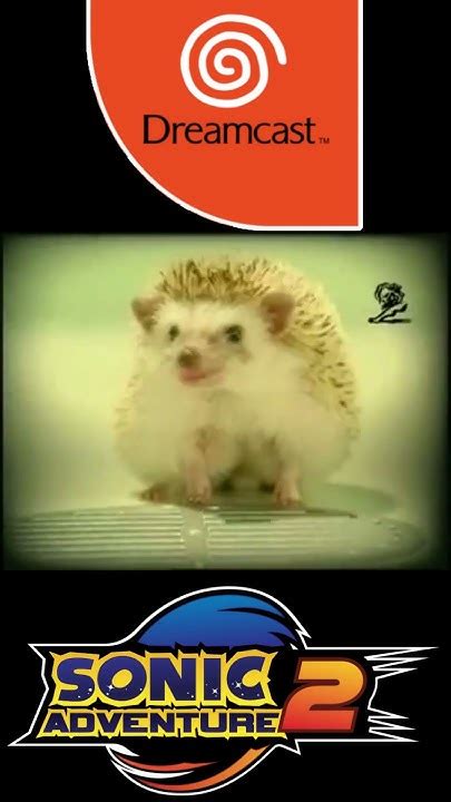 Sonic Adventure 2 Hedgehog Commercial Youtube