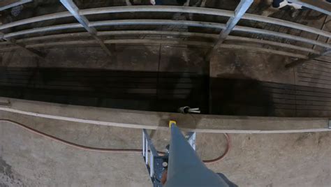 Aerial Cows Object Detection Dataset By Test