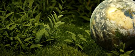 Sustainability Essentials Core Strategies For Lasting Impact