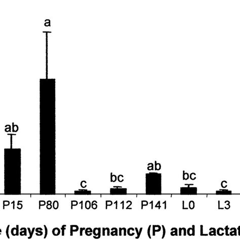 Expression Of The Leptin Gene In Mammary Tissue Throughout Pregnancy Download Scientific