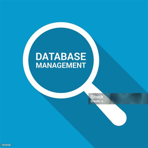 Programming Concept Magnifying Optical Glass With Words Database Management Stock Illustration