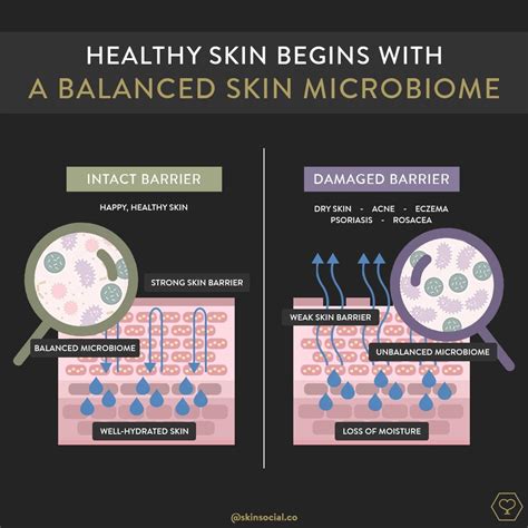 What S So Important About Skin Ph Artofit