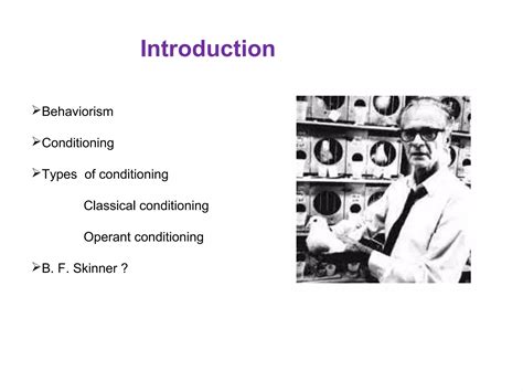 Skinner Operant Conditioning Ppt