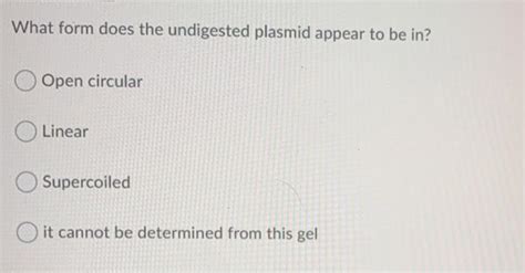 Solved What Form Does The Undigested Plasmid Appear To Be