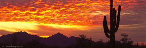 Zardus Zardus Defcon Social DEF CON Social