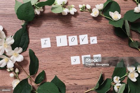 비문 사랑 해요 서 예 쓰기 재 스민 꽃과 나무 바탕에 꽃잎의 프레임 인사말 카드입니다 개념 사진입니다 결혼식 초대 카드입니다