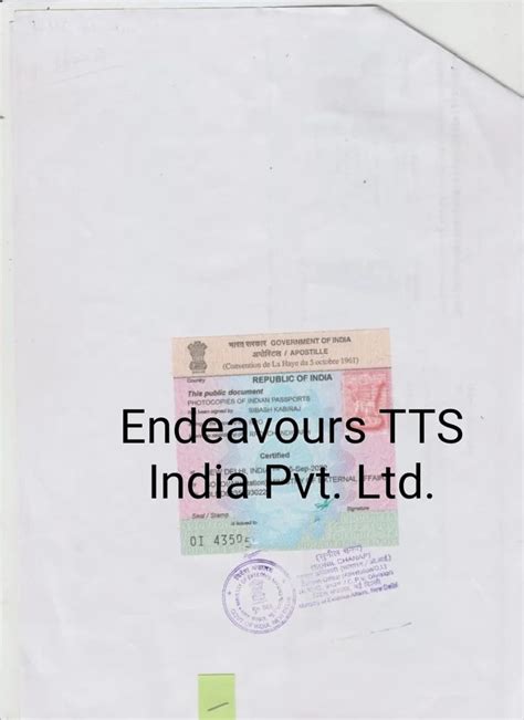 Bachelorhood Certificate Single Status Certificate Apostille Attestation In Mahipalpur Extension