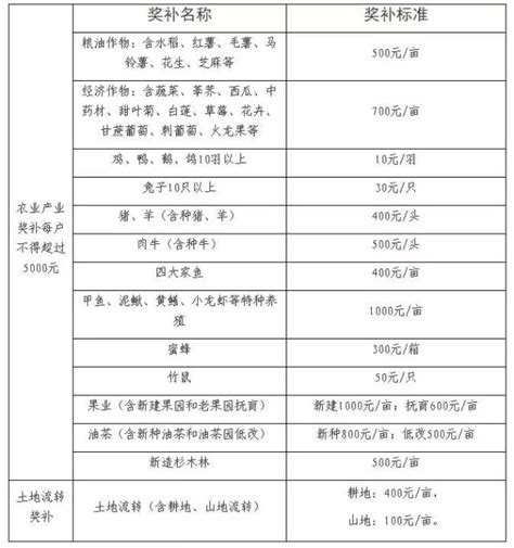 粮补都包括哪些项目20年粮补每亩300元农村粮补的内容大山谷图库