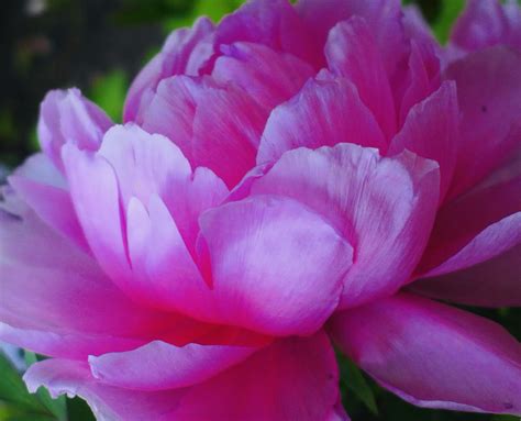 奥井智之tomoyukiokui Twilog ツイログ