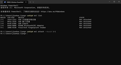 Wsl2连接usb存储设备 Oathblade